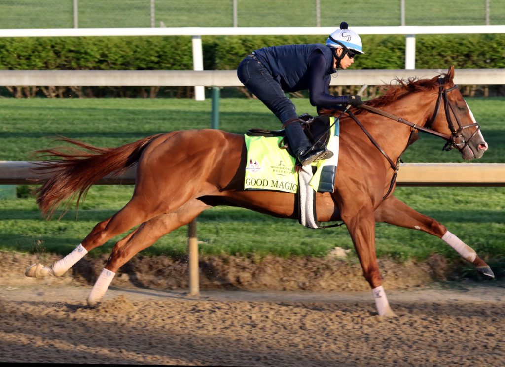 Classic Champion Thoroughbreds – From foal to finish